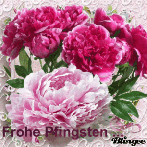 ᐅ schöne pfingsten gif bilder - Pfingsten bilder - GBPicsHD